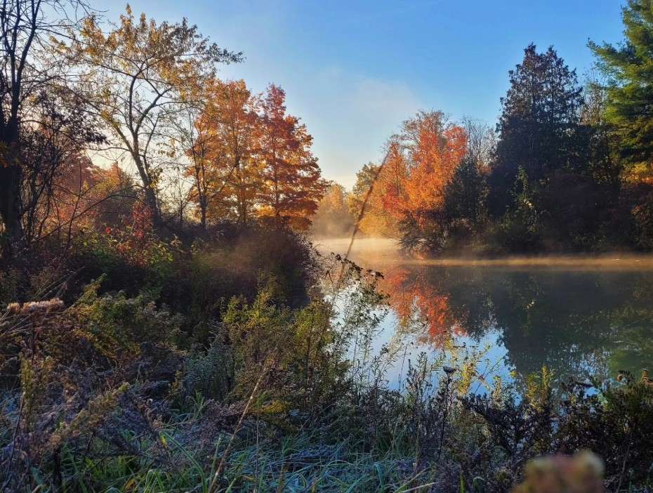 Officials awaiting further information on proposed Ontario conservation ...