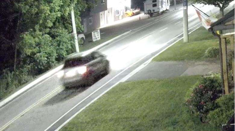 Pedestrian dies in hit-and-run