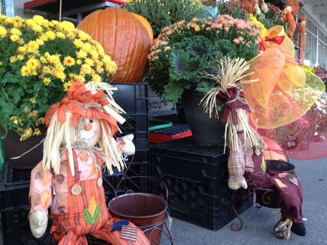 Brooke-Alvinston-Watford Fall Fair marks 150 years