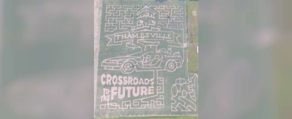 Opening weekend for Thamesville corn maze