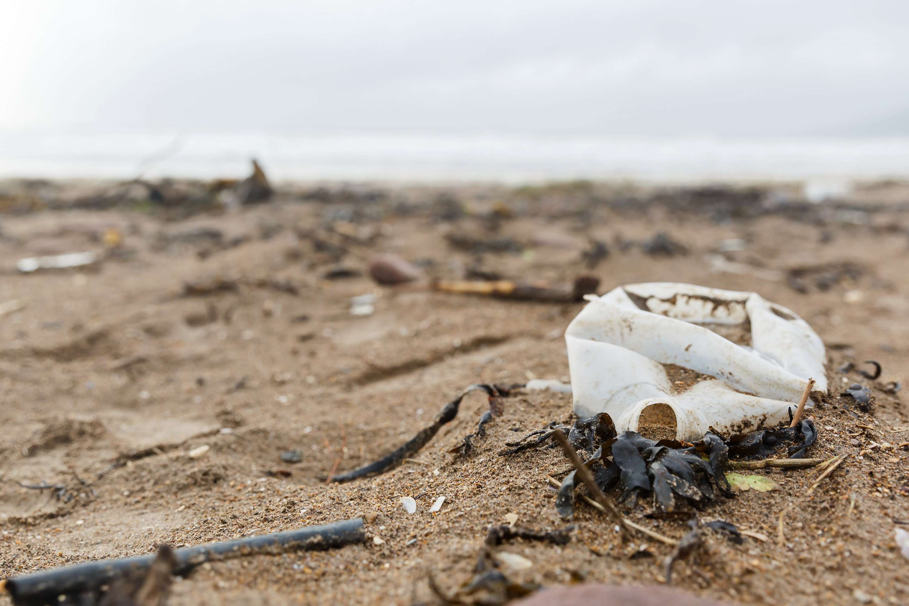Single-use plastic litter almost doubles during pandemic