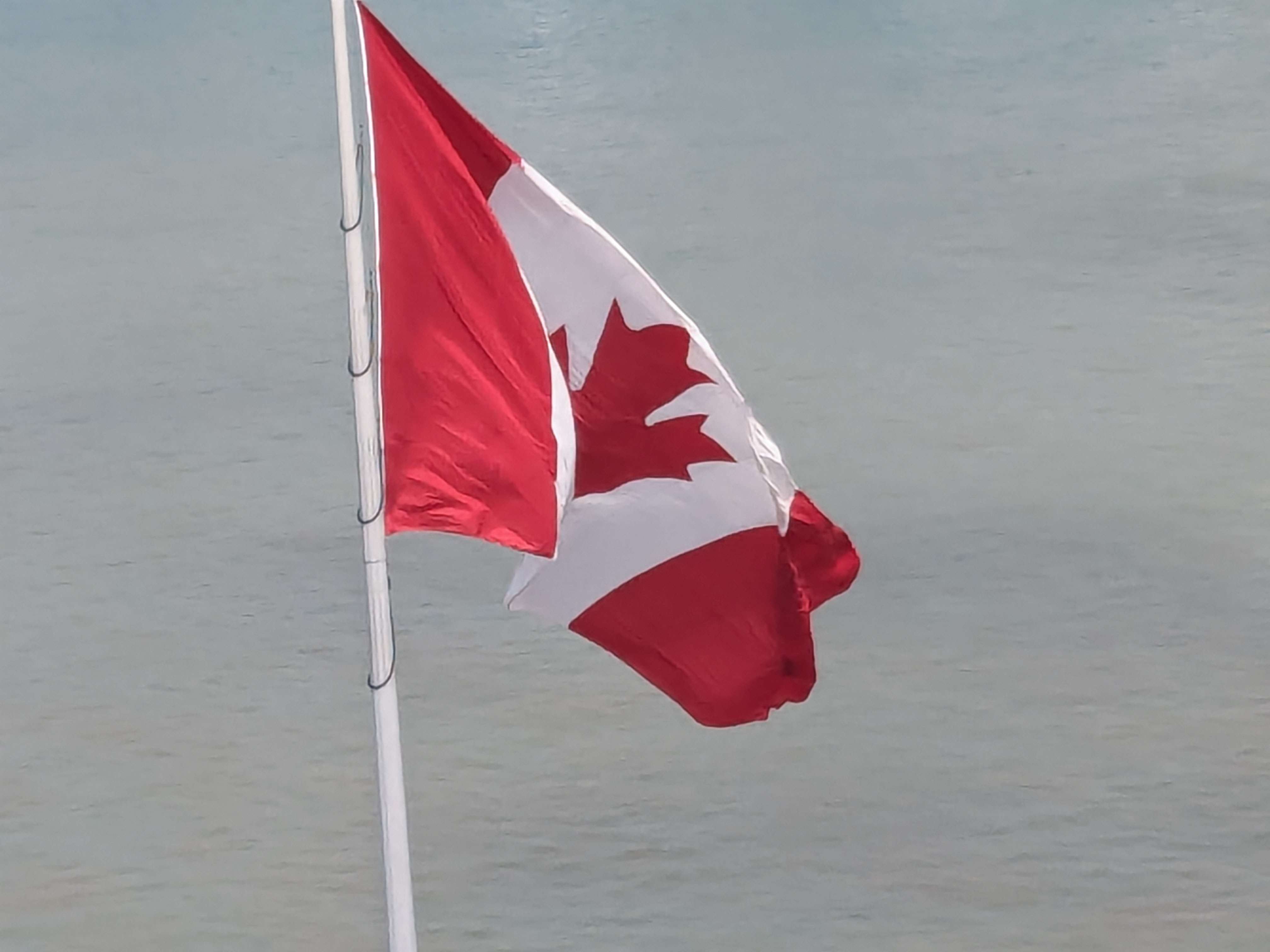 What's open and closed on Canada Day in Windsor-Essex?