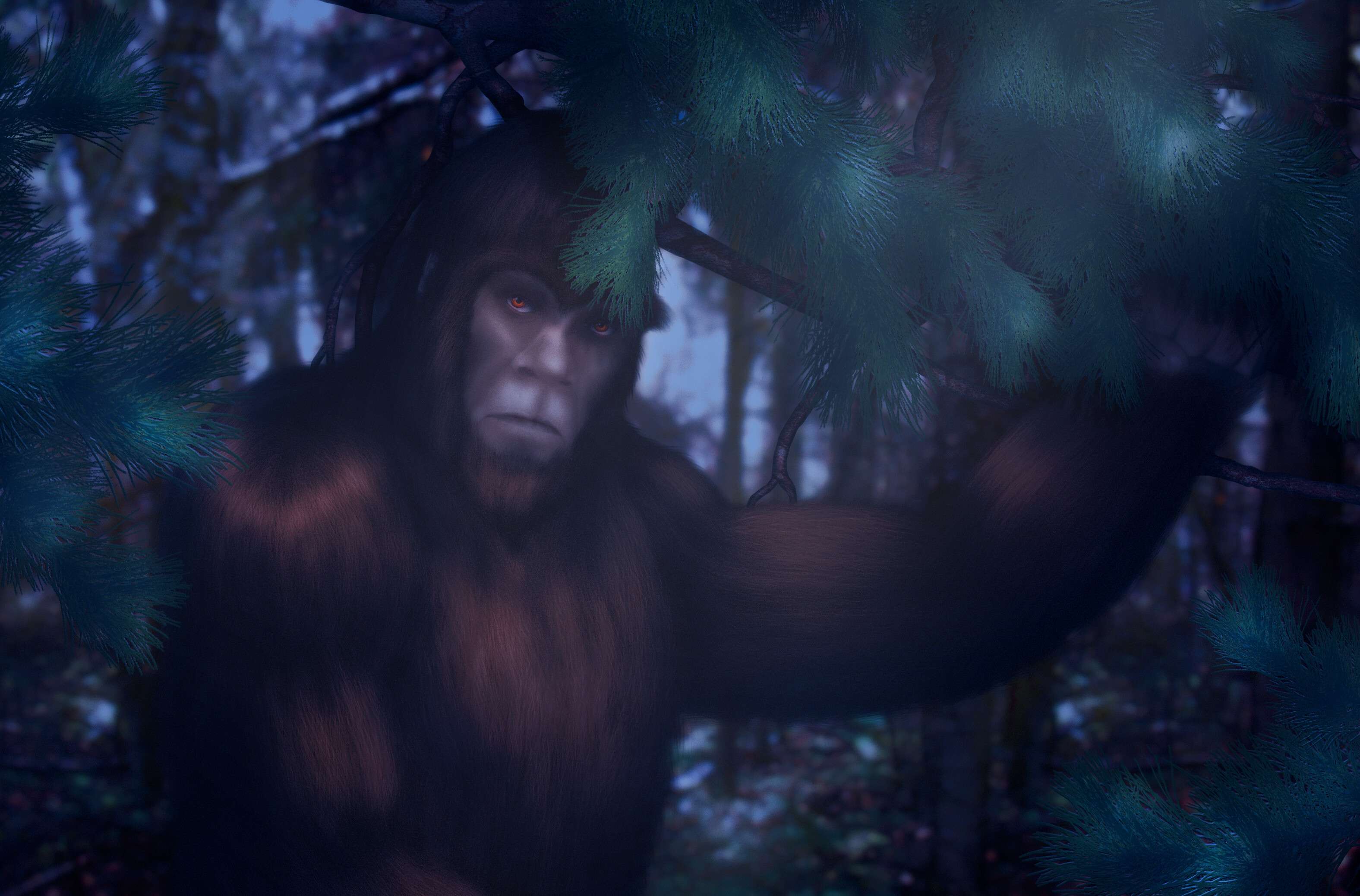 Research team looking for Sasquatch witnesses around Owen Sound; Bruce ...