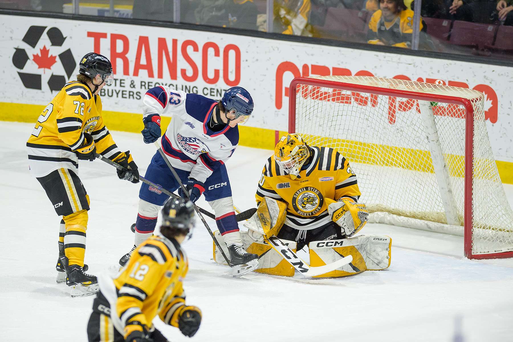 Sarnia Sting drop seventh in a row, 7-3 to Saginaw