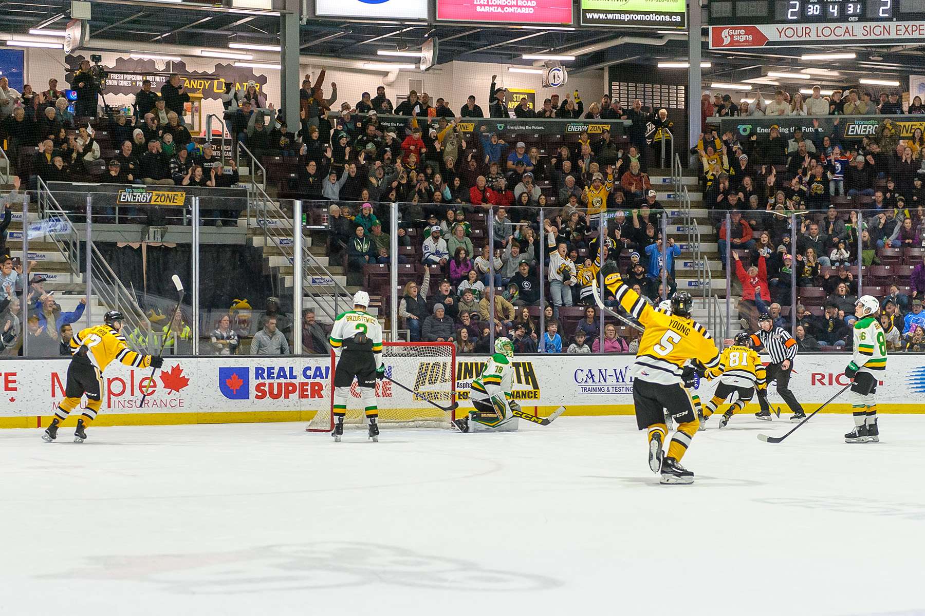 Sting beat Knights in OT to start off 2025