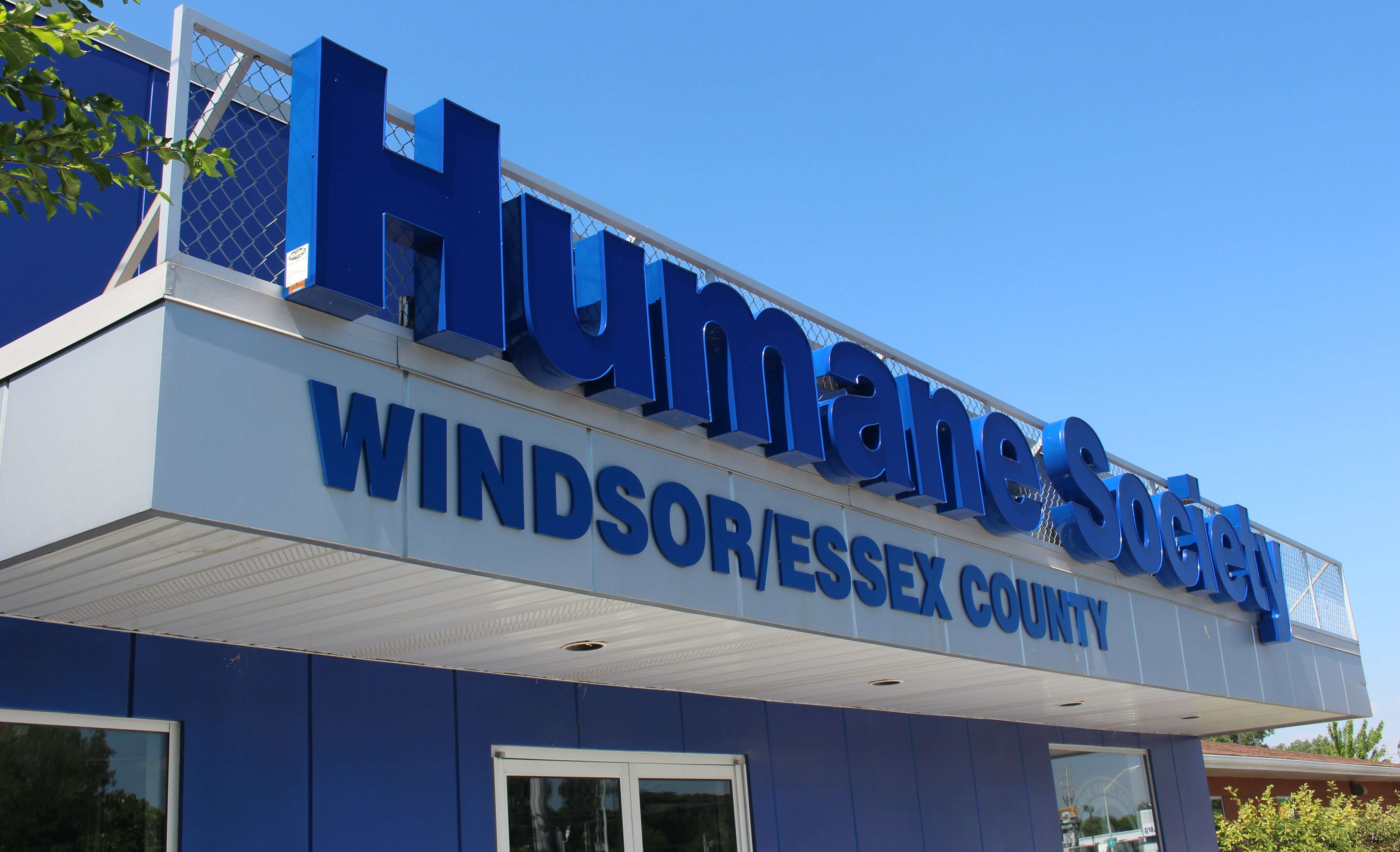 Humane Society fundraiser kicks off Thursday