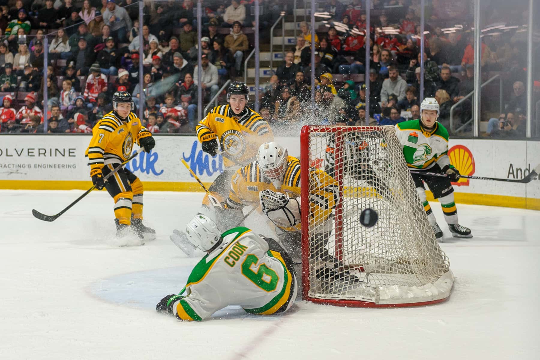 Sarnia Sting fall 4-1 against visiting London Knights