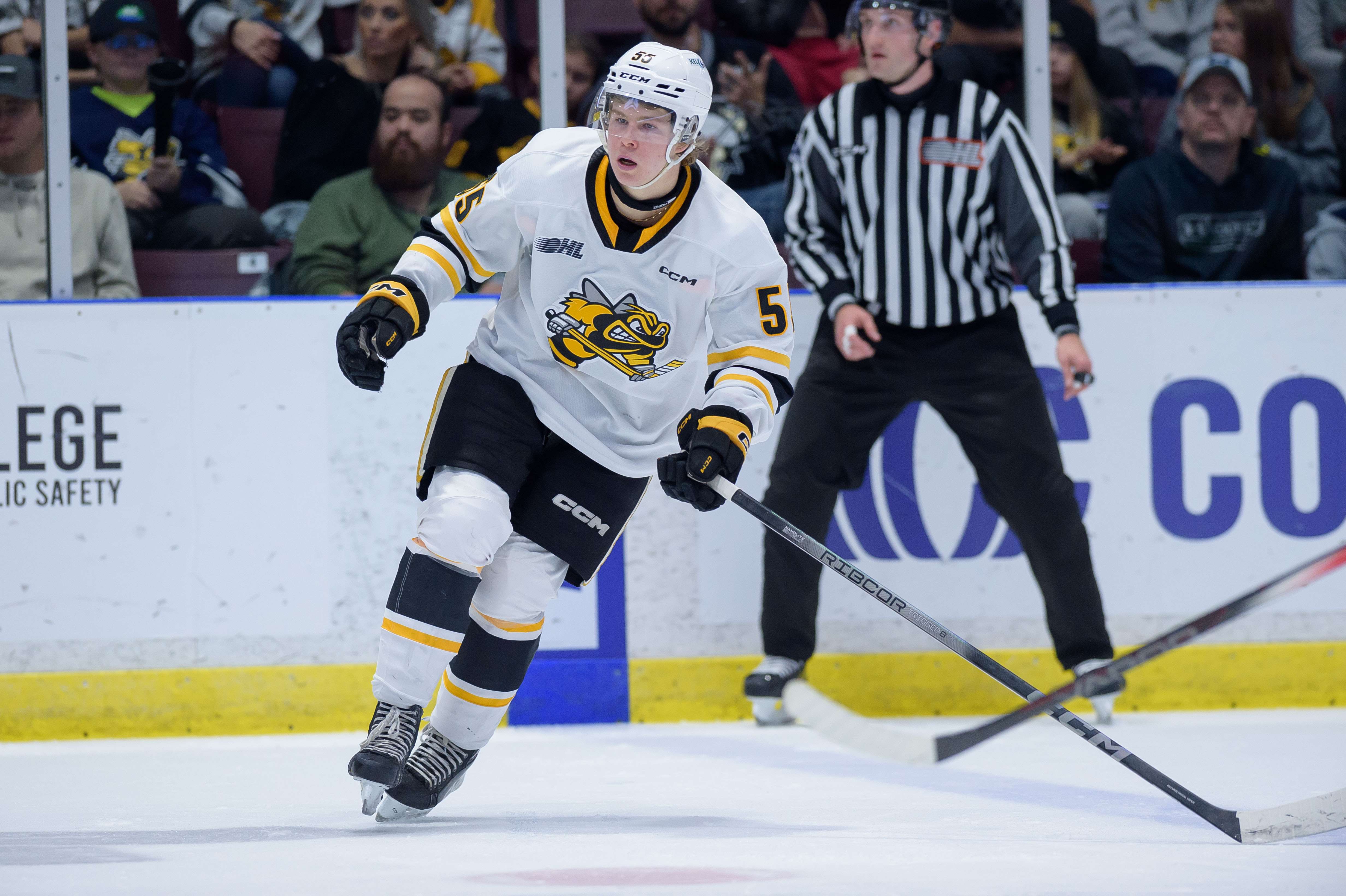 Sting trade Doherty to Niagara for draft pick
