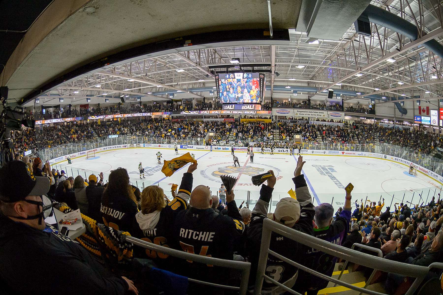 Sting host Windsor Friday to open their 2023-24 OHL season – Blue Coast Feed