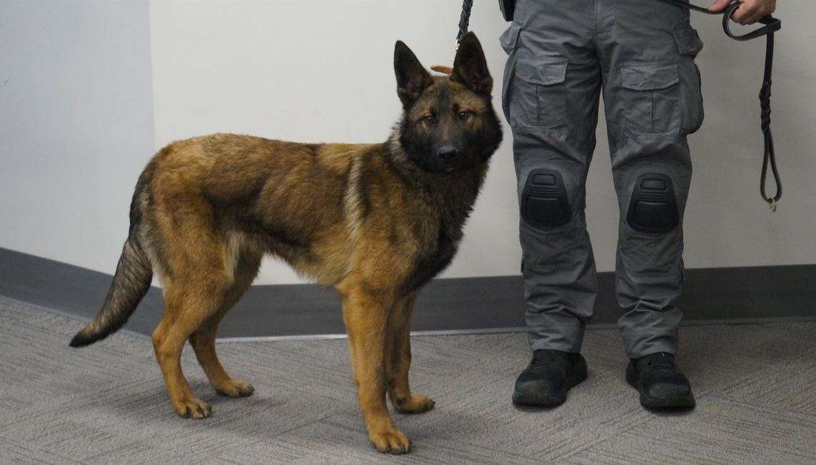 SPS officially introduces new Canine Unit (GALLERY)