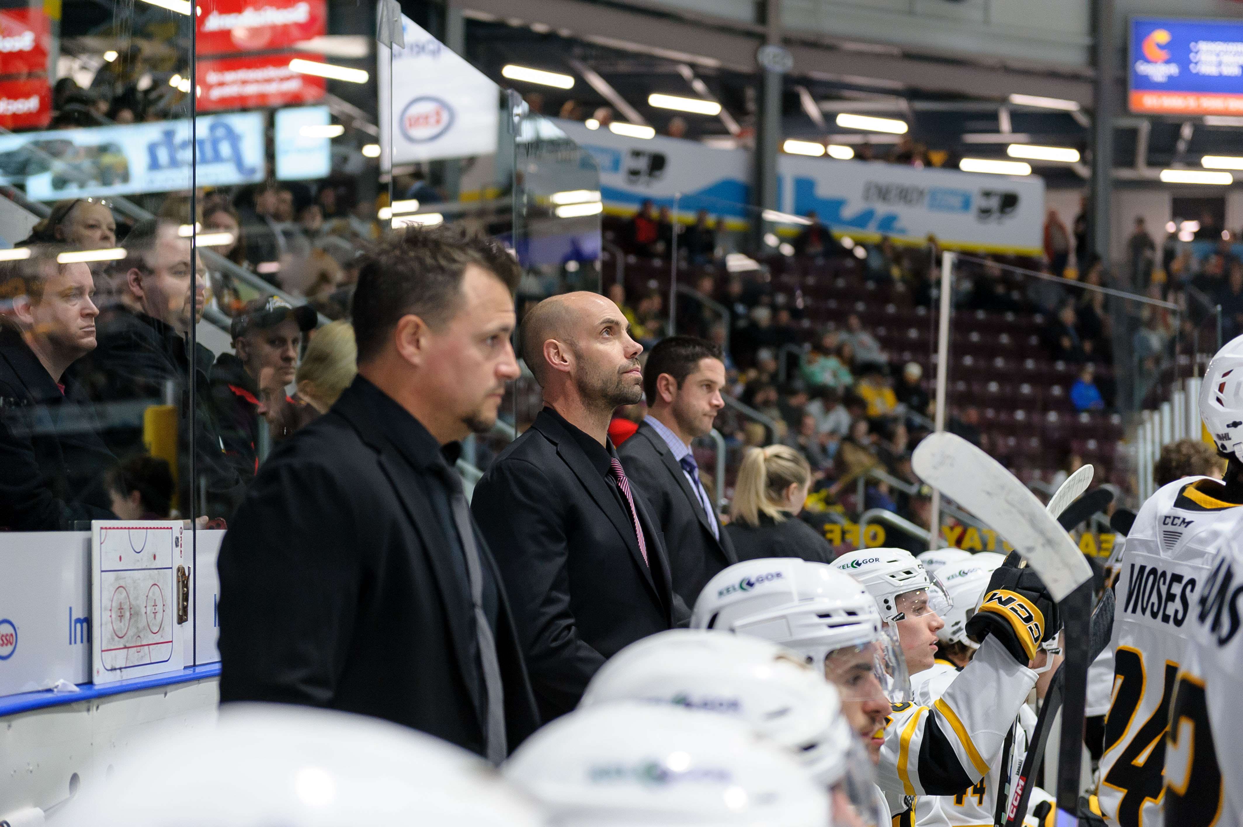 New and familiar faces join Sarnia Sting operations