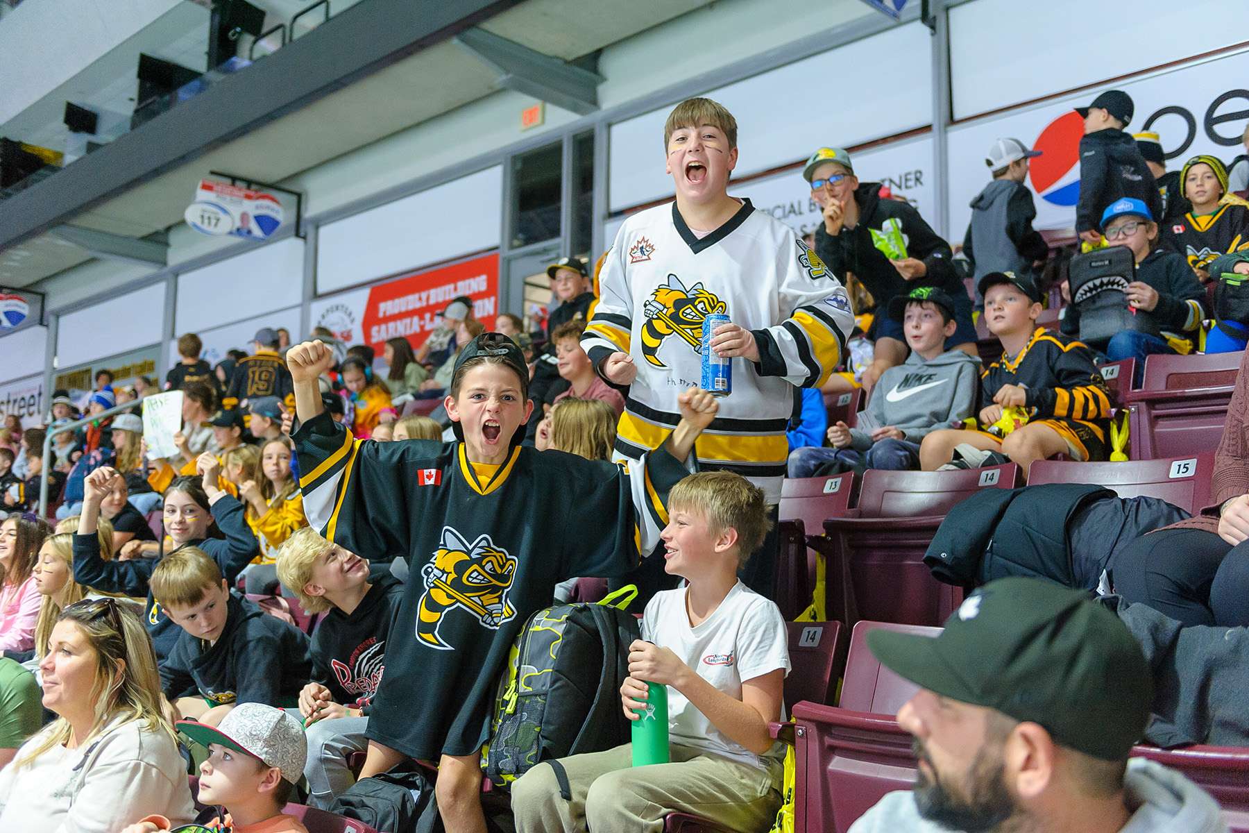 Sarnia Sting to play five pre-season games