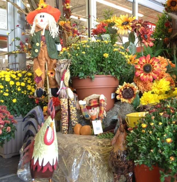 Brooke-Alvinston And Watford Fall Fair Marks 139 Years