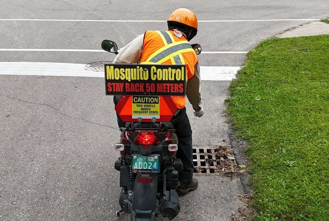Mosquito control program begins