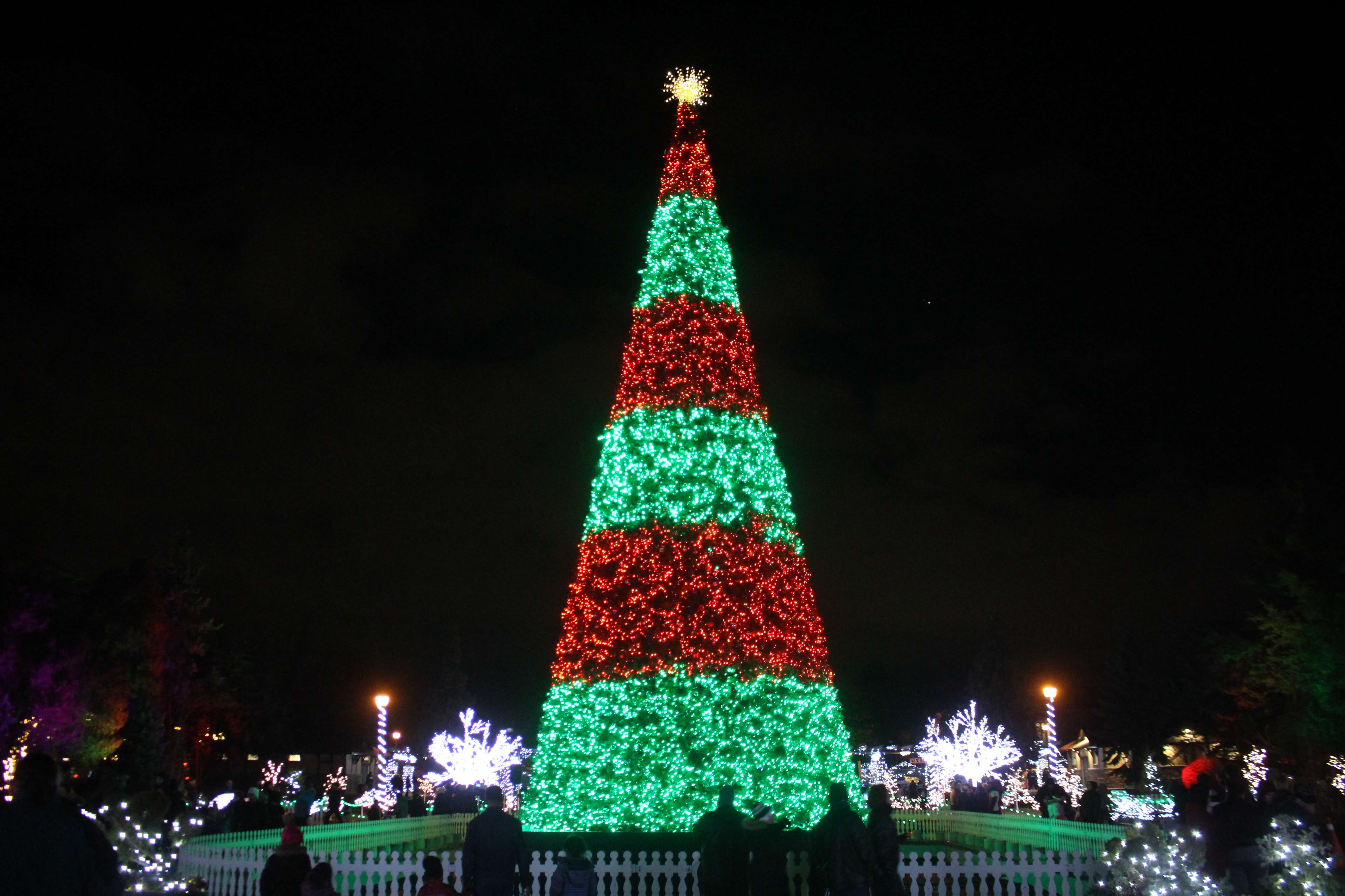 Bright Lights light up Windsor Friday night