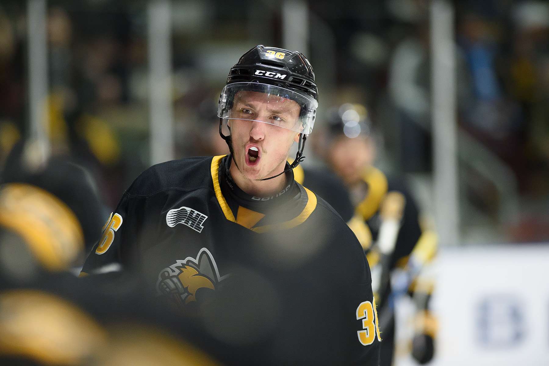 Sting down Knights 5-3 in game 3 of west final