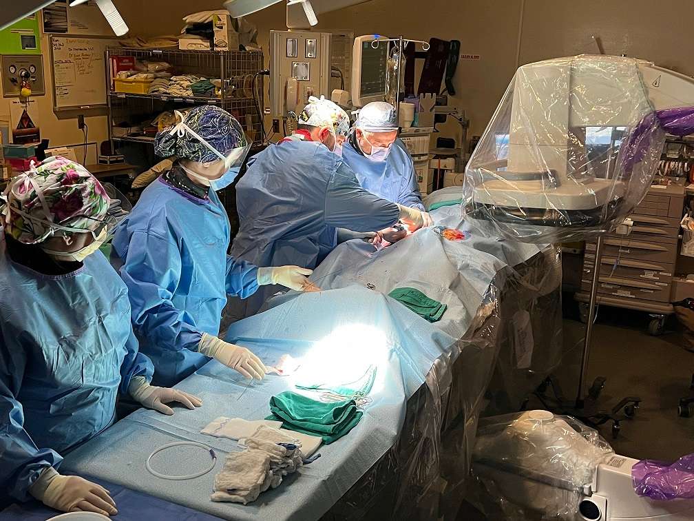 New vascular procedure improving patient outcomes and saving hospital resources