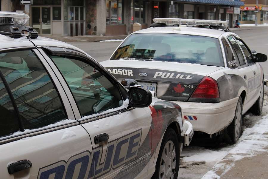 Police cruisers vandalized overnight