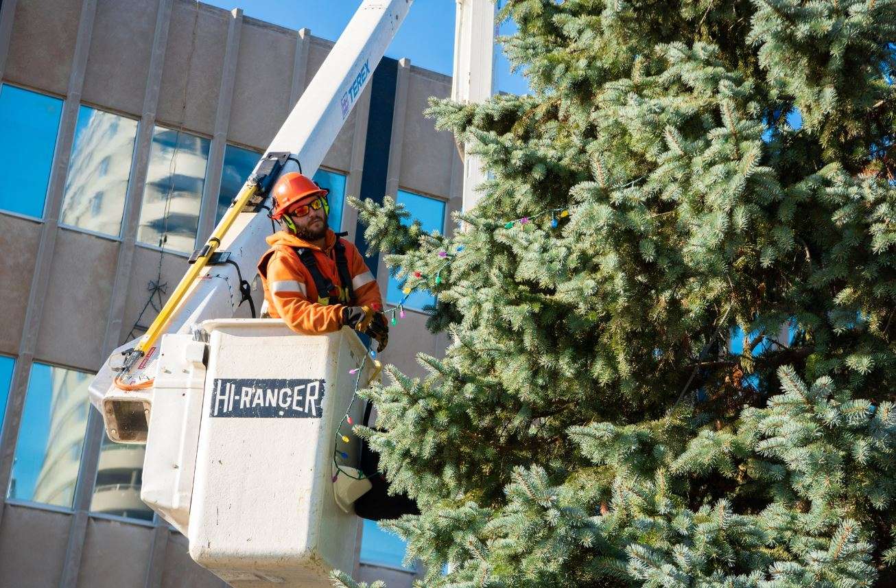 Christmas tree put in at City Hall