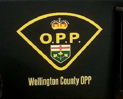 Wellington County OPP officers honoured