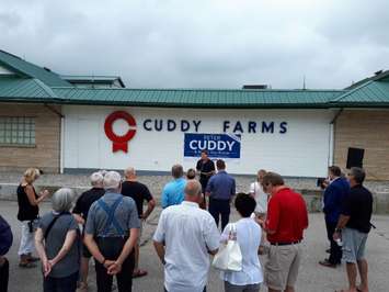 Strathroy businessman seeks Tory nomination