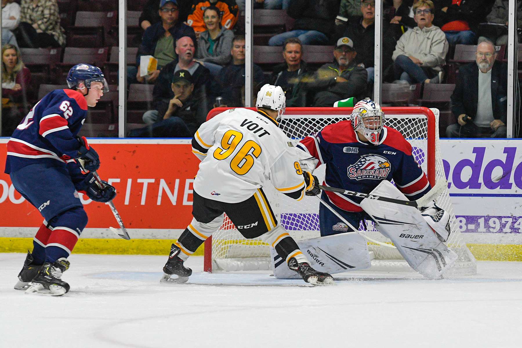 Sting lose to visiting Saginaw