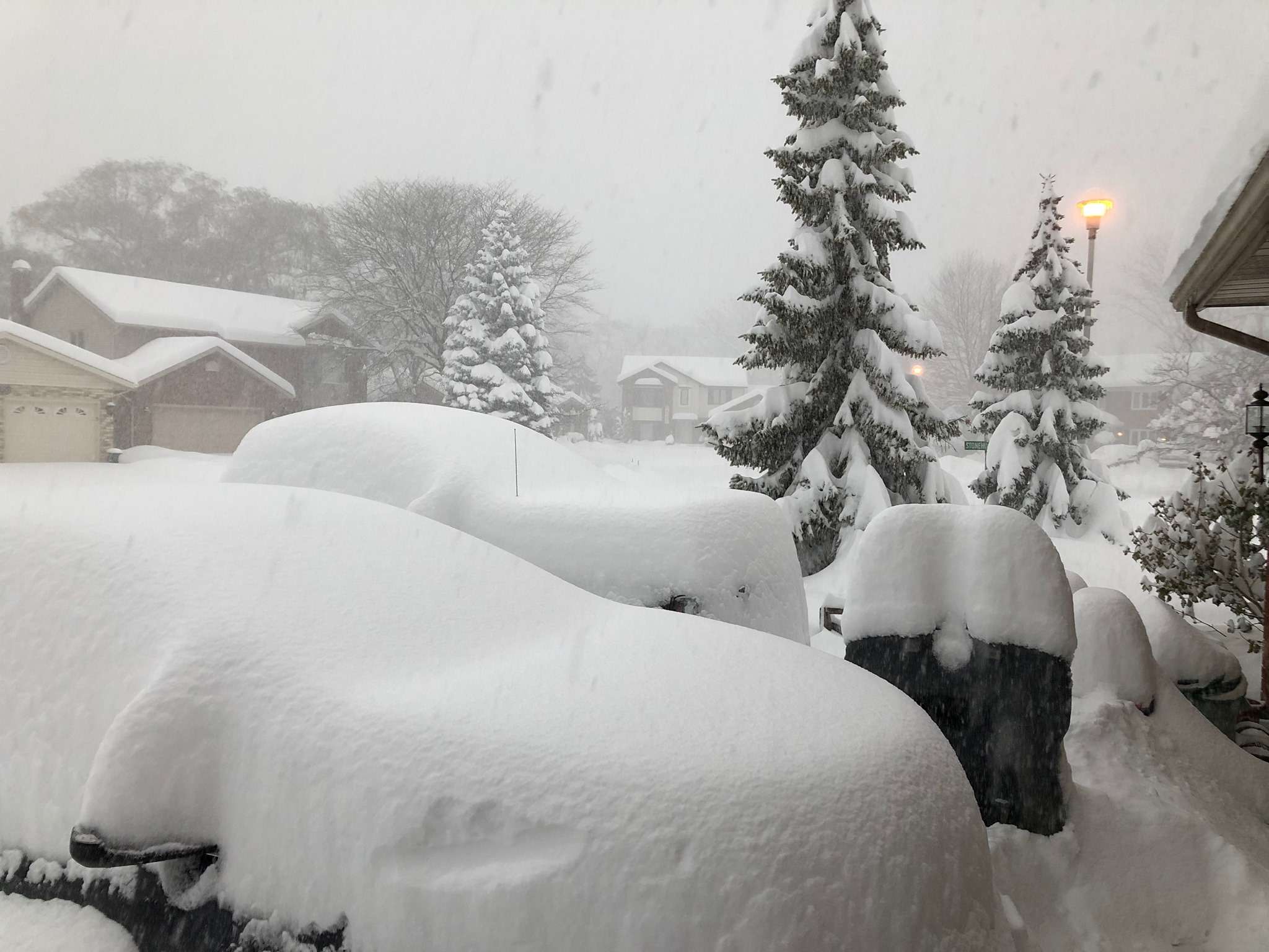 Winter storm warning issued for Sarnia-Lambton