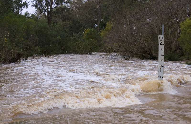 Wild Weather stories sought in Grey County