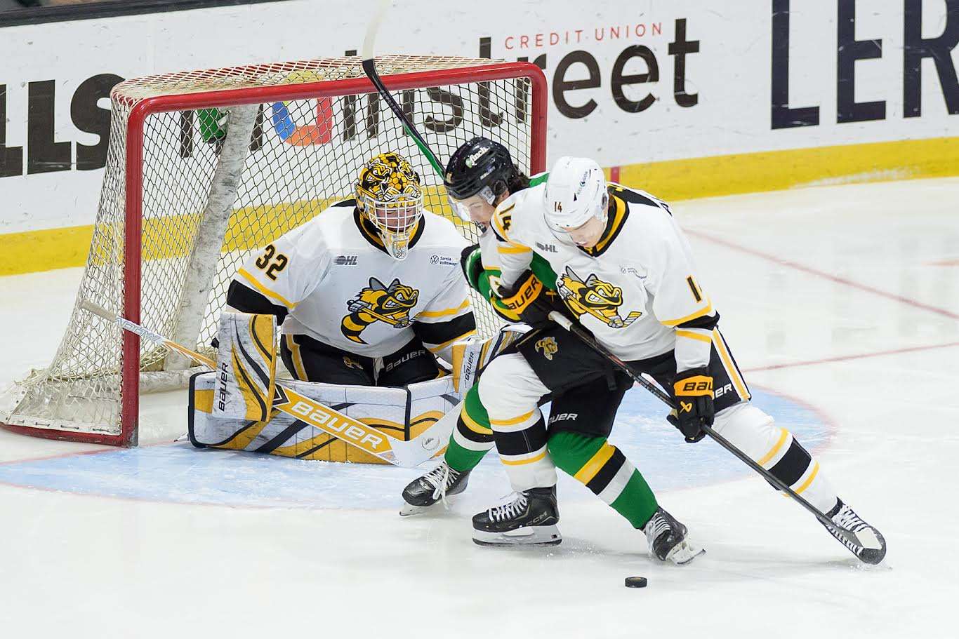 Sarnia Sting lose 3-0 to Hwy. 402 rivals