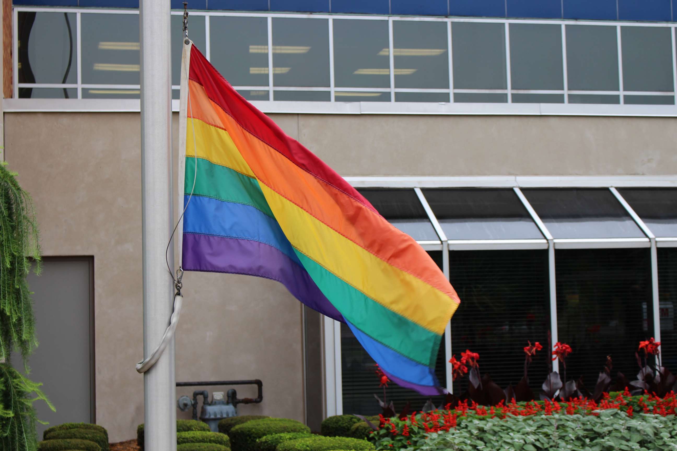 Three Pride flag thefts investigated in Leamington