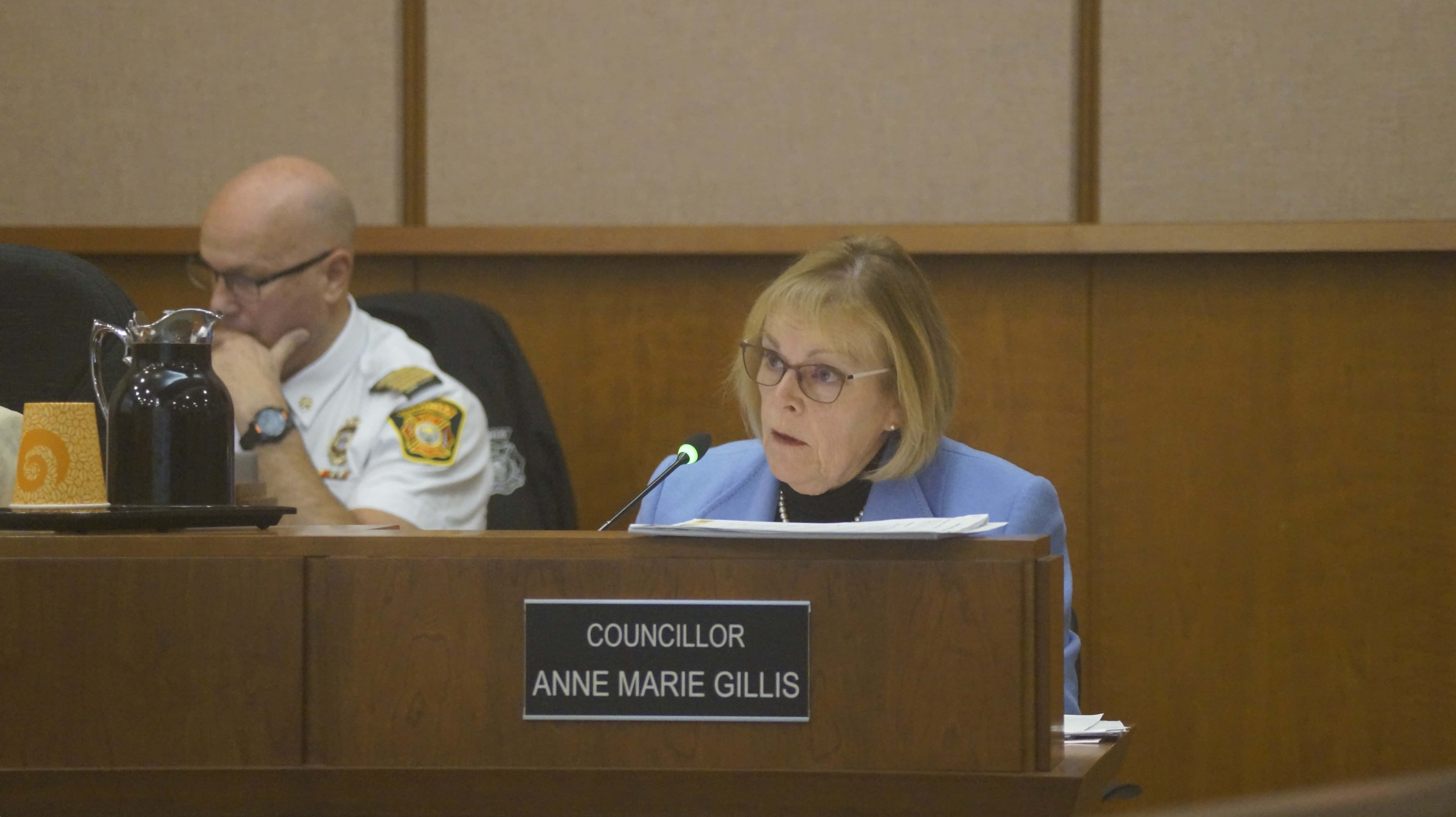 BG library project 'stonewalled'