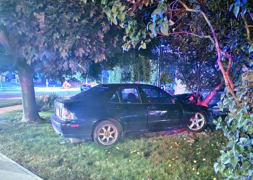 Minor injuries reported after car hits tree