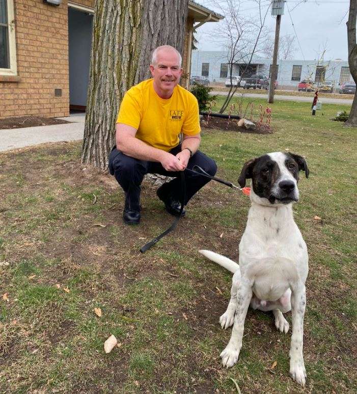 24 Days of Rescue campaign highlights adoptable pets