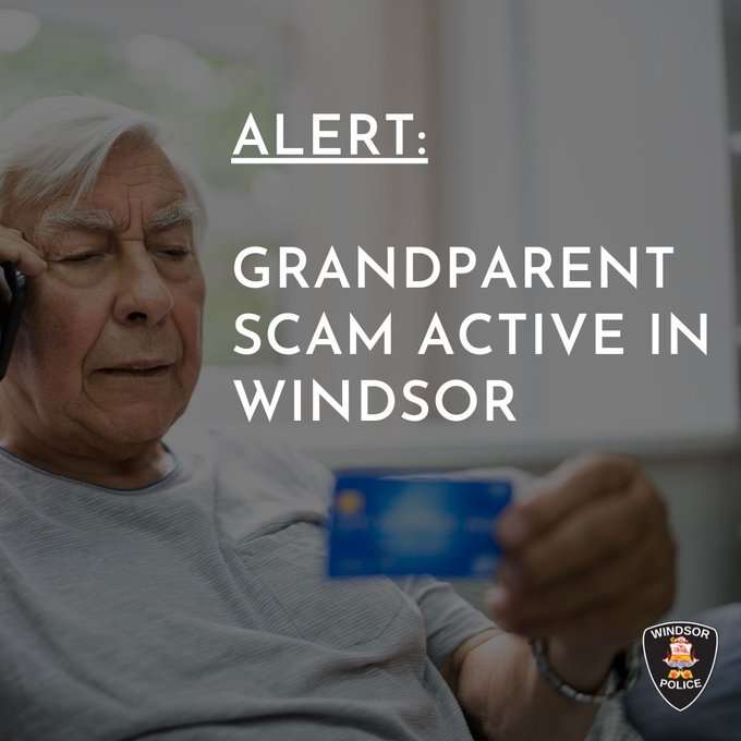 Windsor police report increase in 'grandparent scam' reports