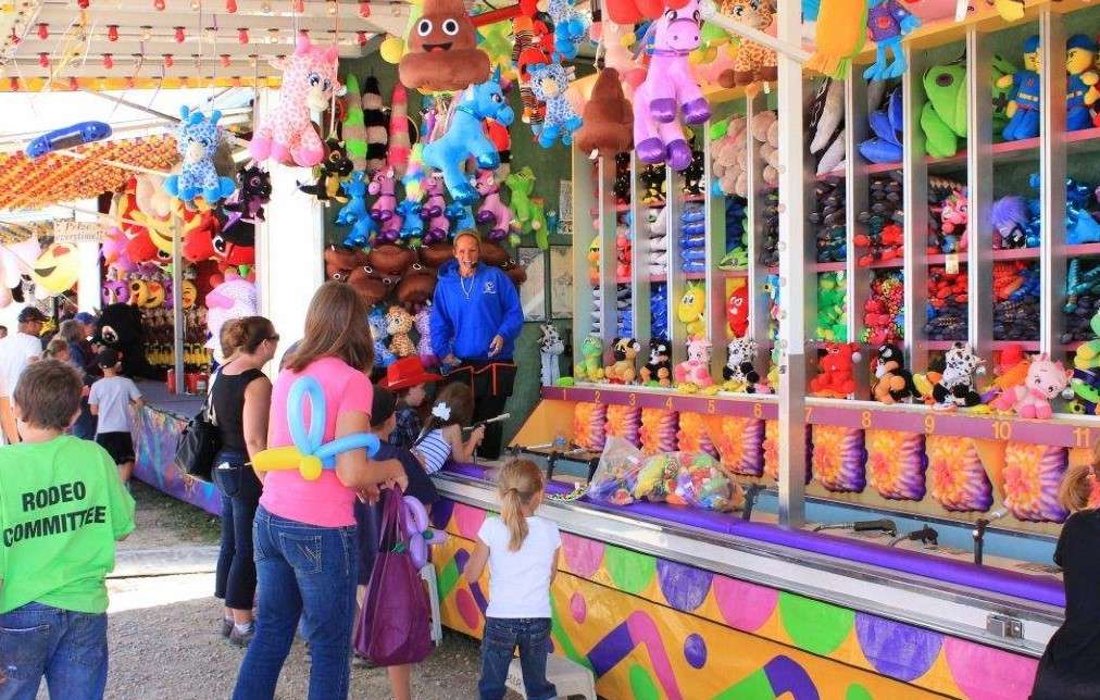 Plans in place for a big or small Forest Fall Fair
