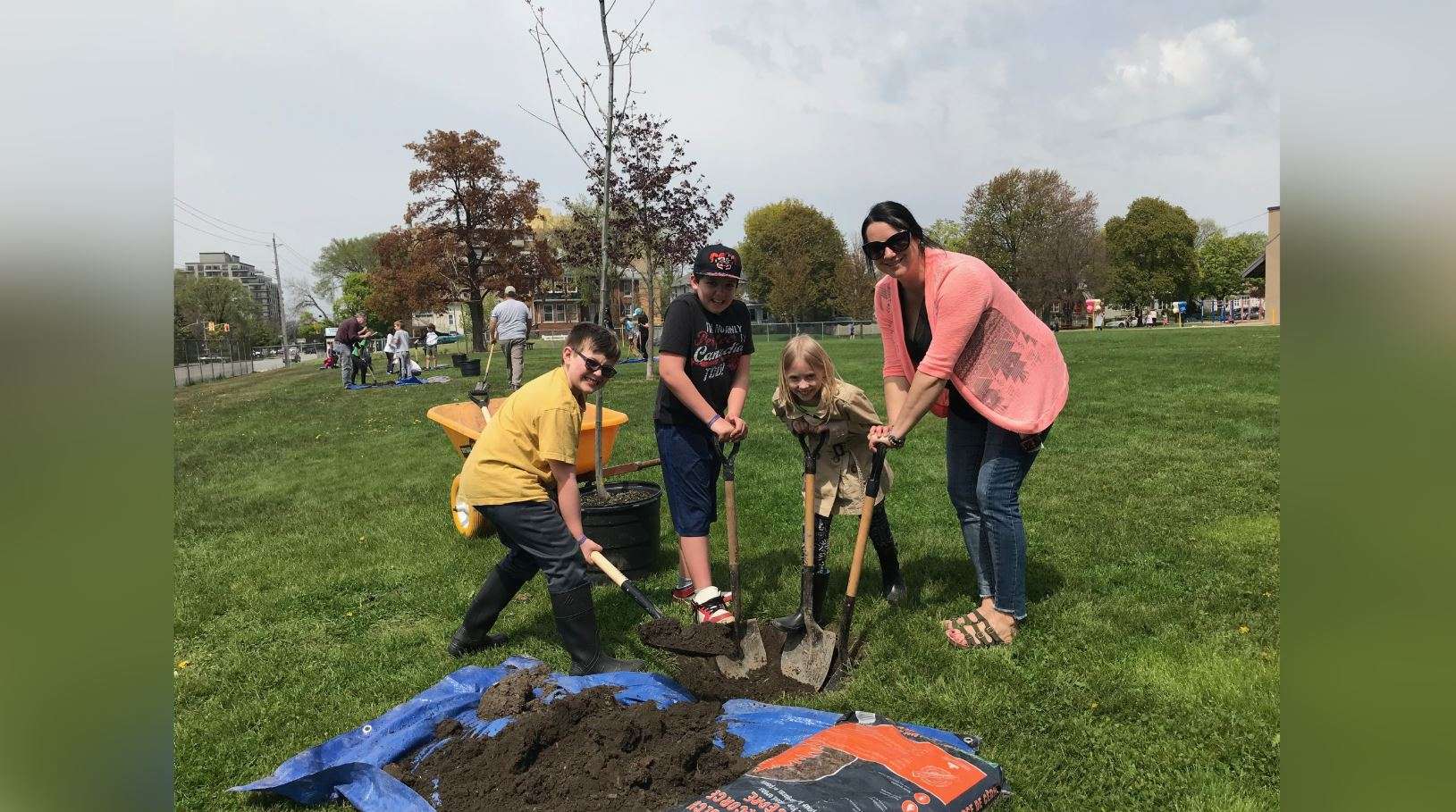 New shade trees planted at London Road School (GALLERY)