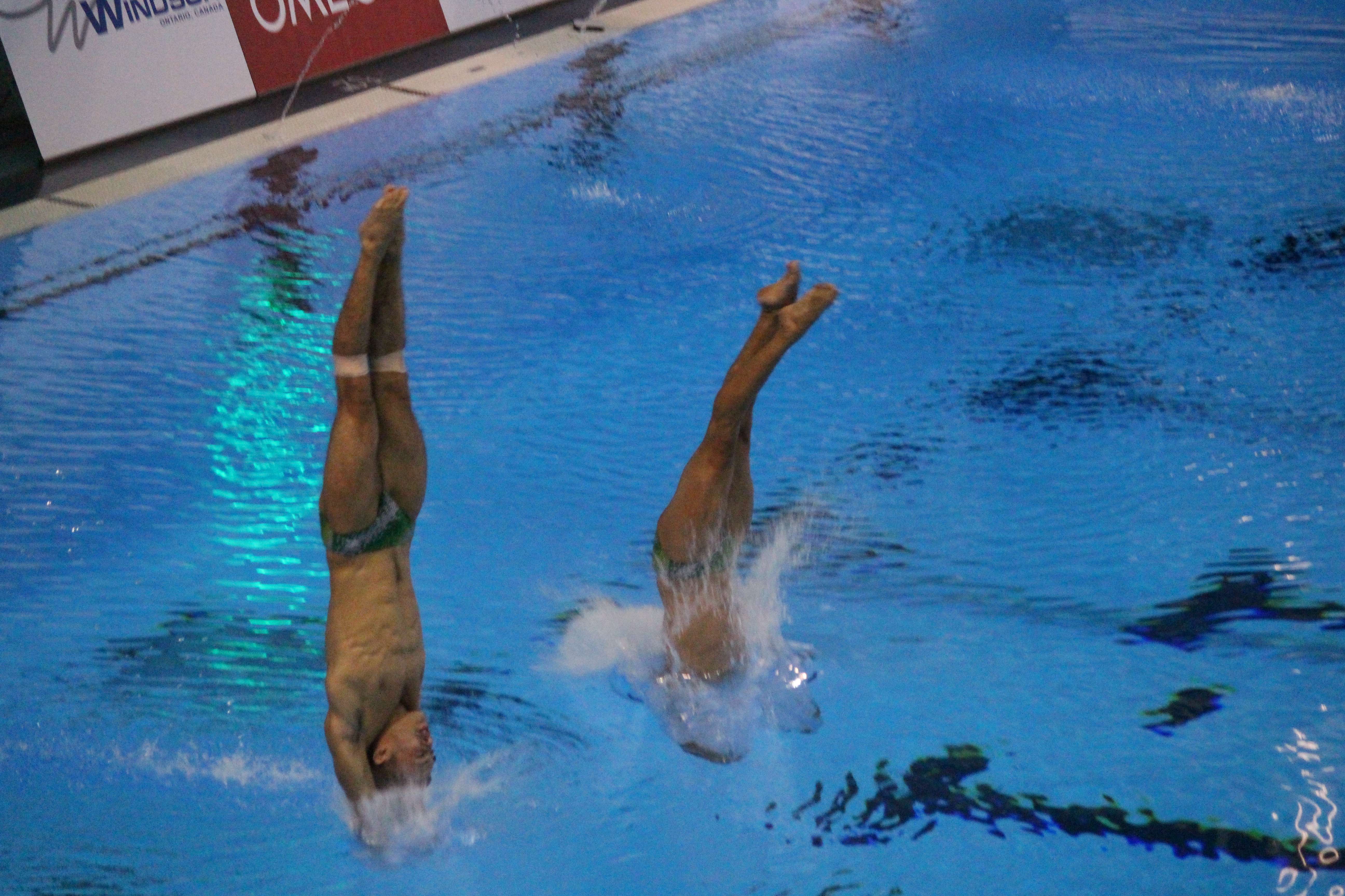 FINA Diving World Series (Gallery)