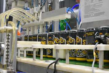 Sting beer creating a buzz in Sarnia