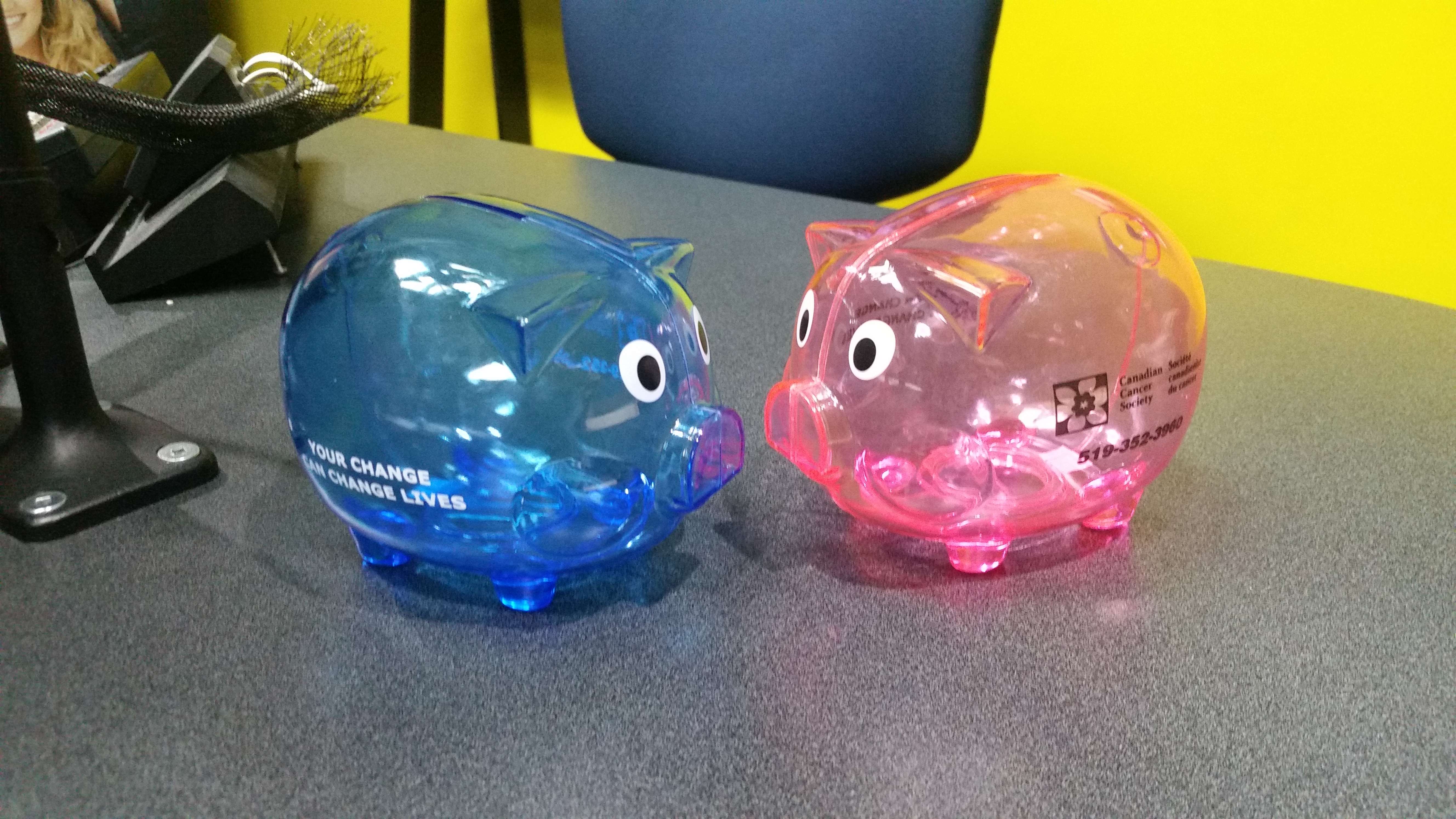 Pigs of Hope look to change lives