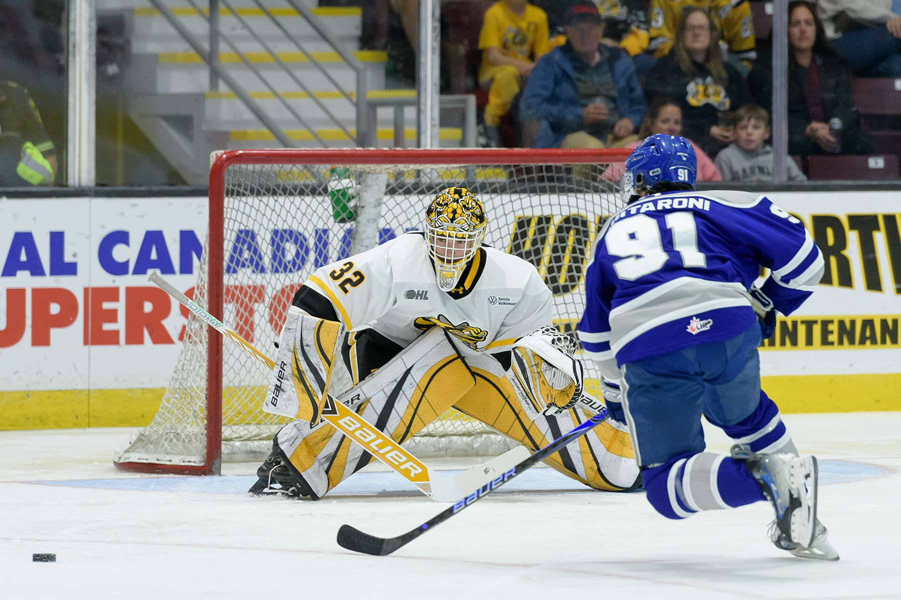Sarnia Sting tame Wolves in 6-1 win