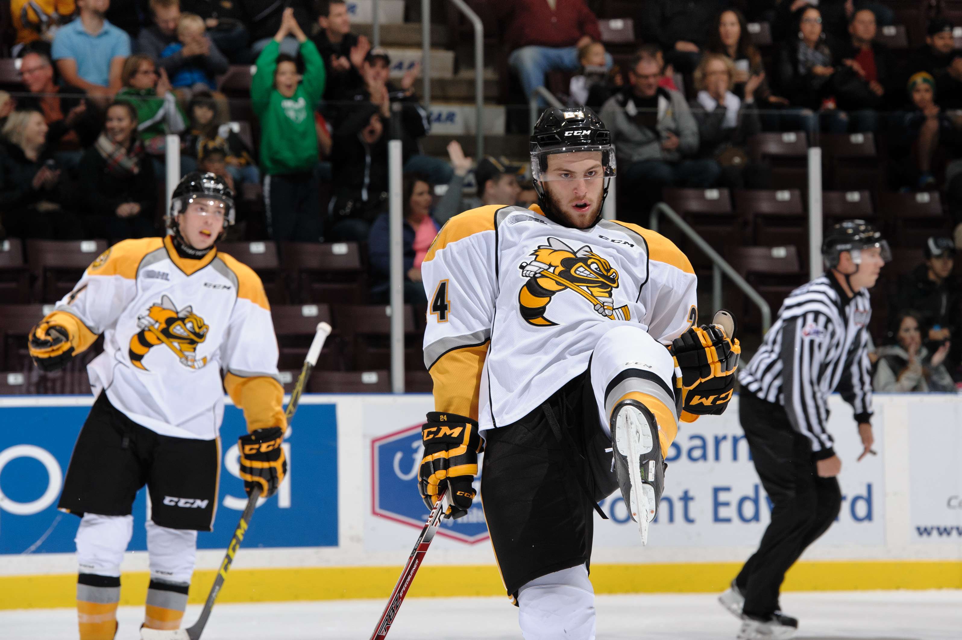 Former Sting captain back in North America