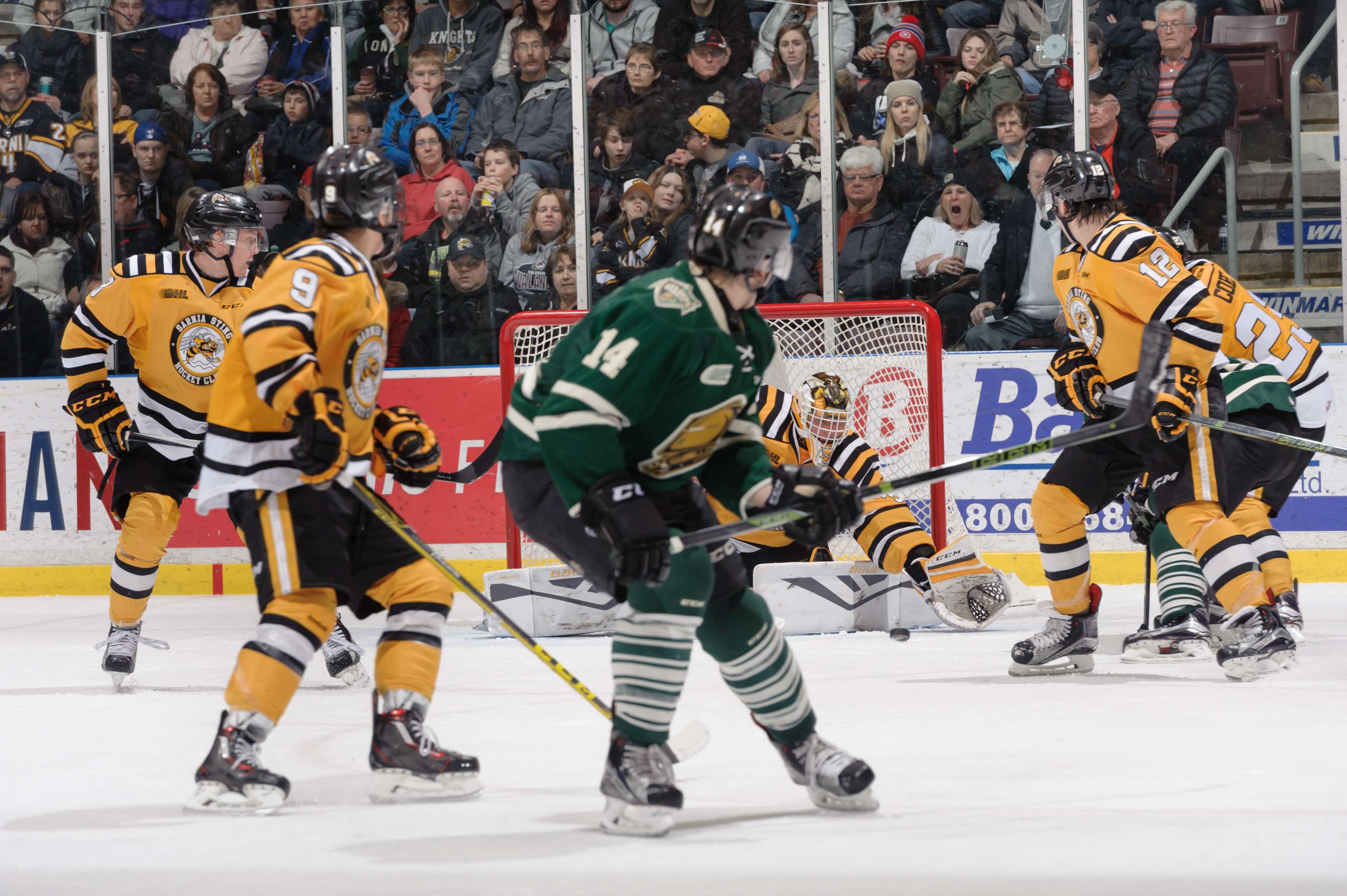 Scores From January 2