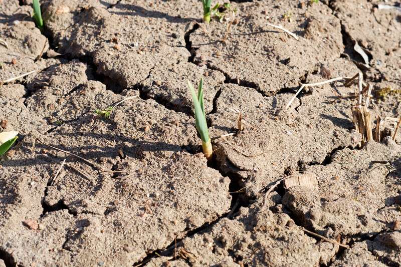 Kettle & Stony Point hosts annual Pow Wow