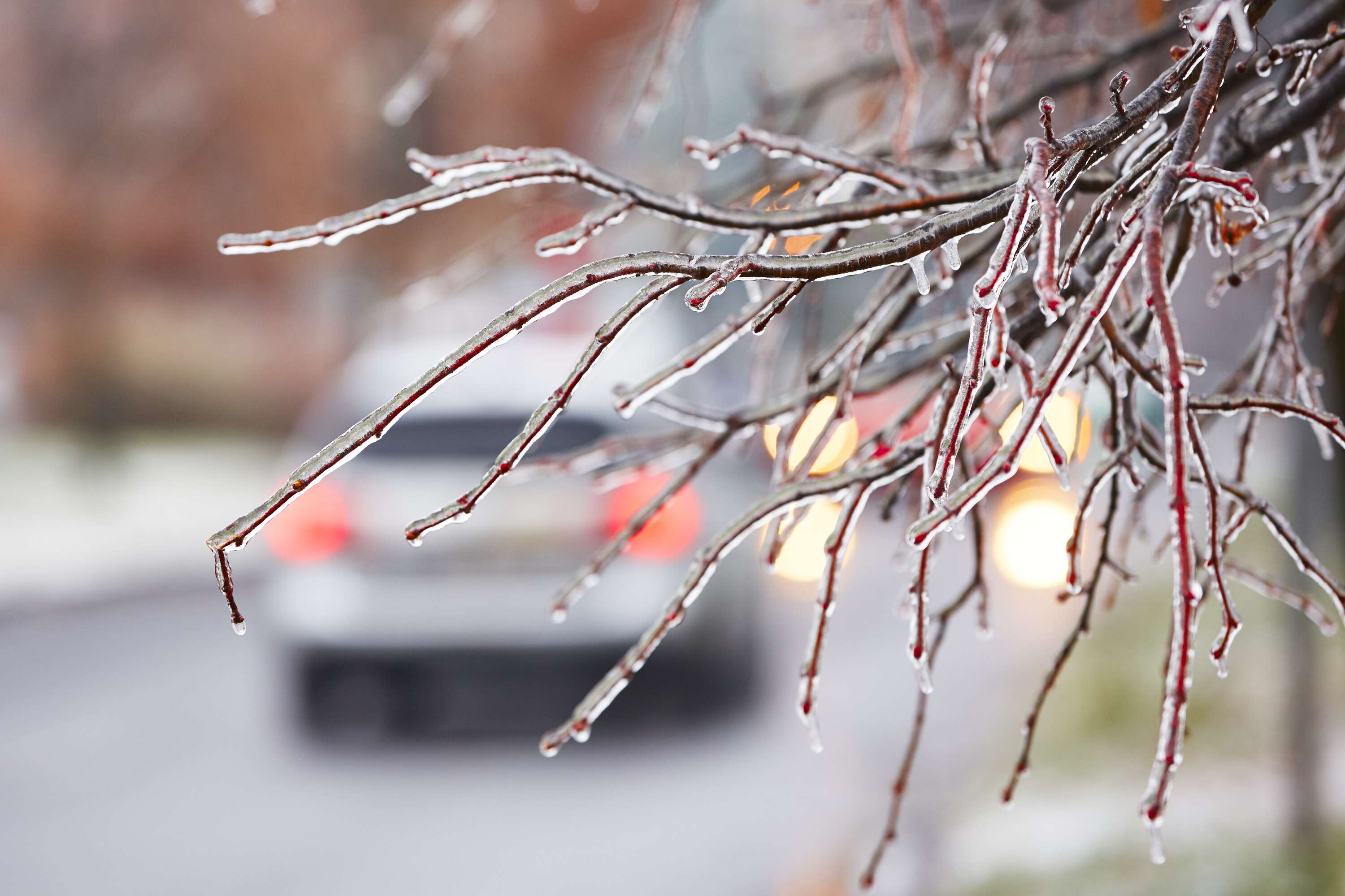 UPDATE: Freezing rain warning lifted