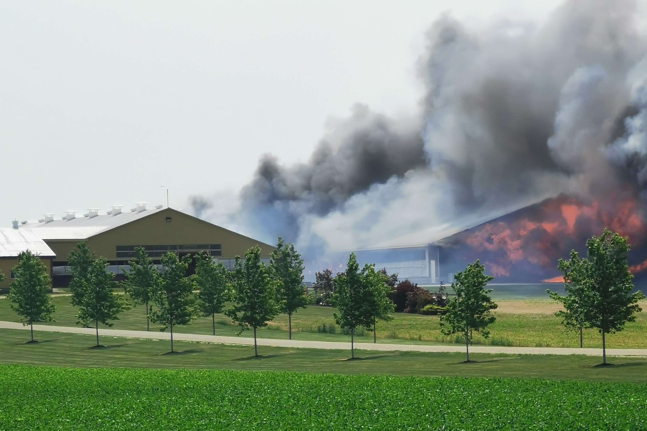 Livestock lost in barn fire near Brussels