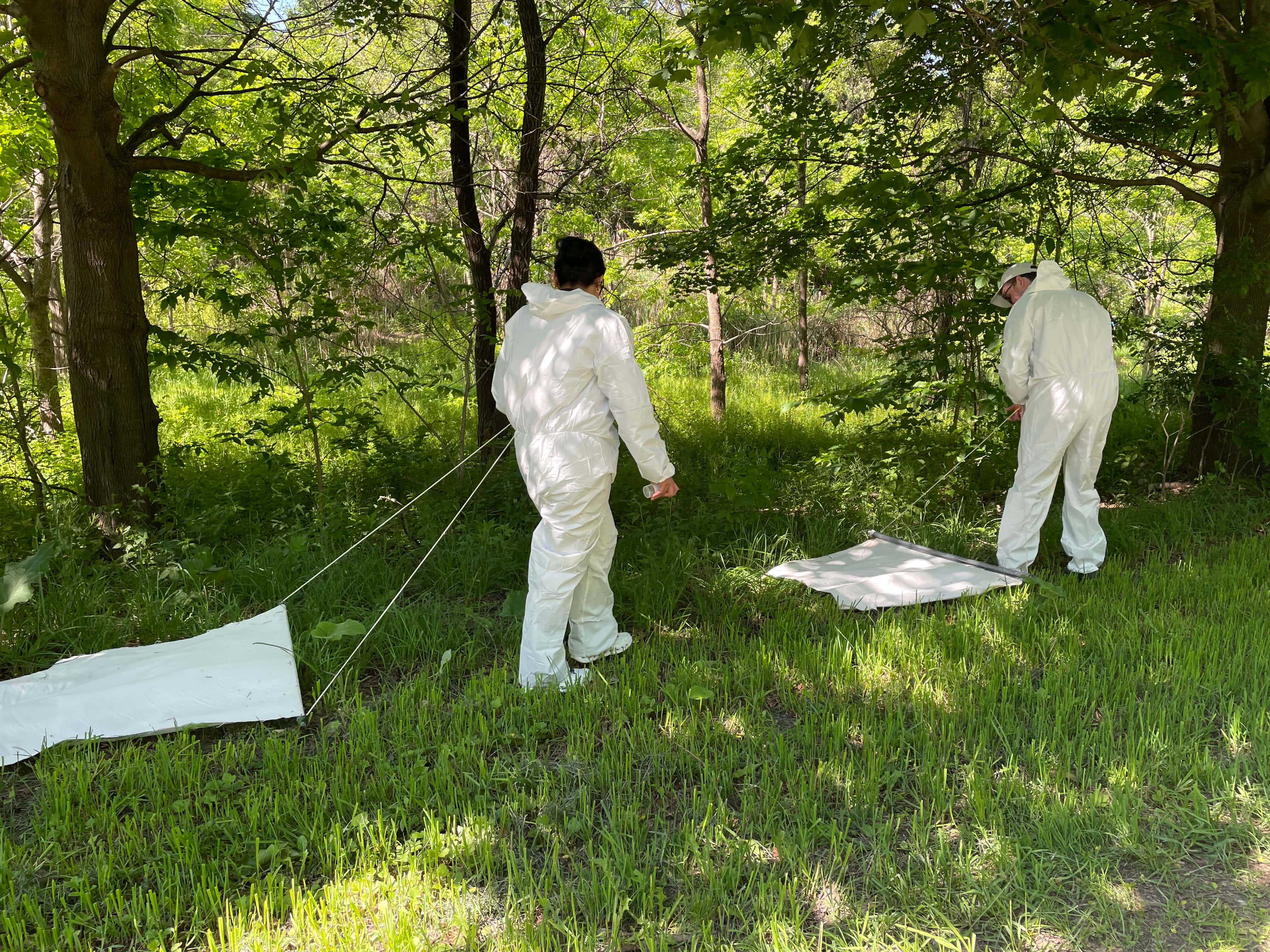 WECHU continues tick surveillance