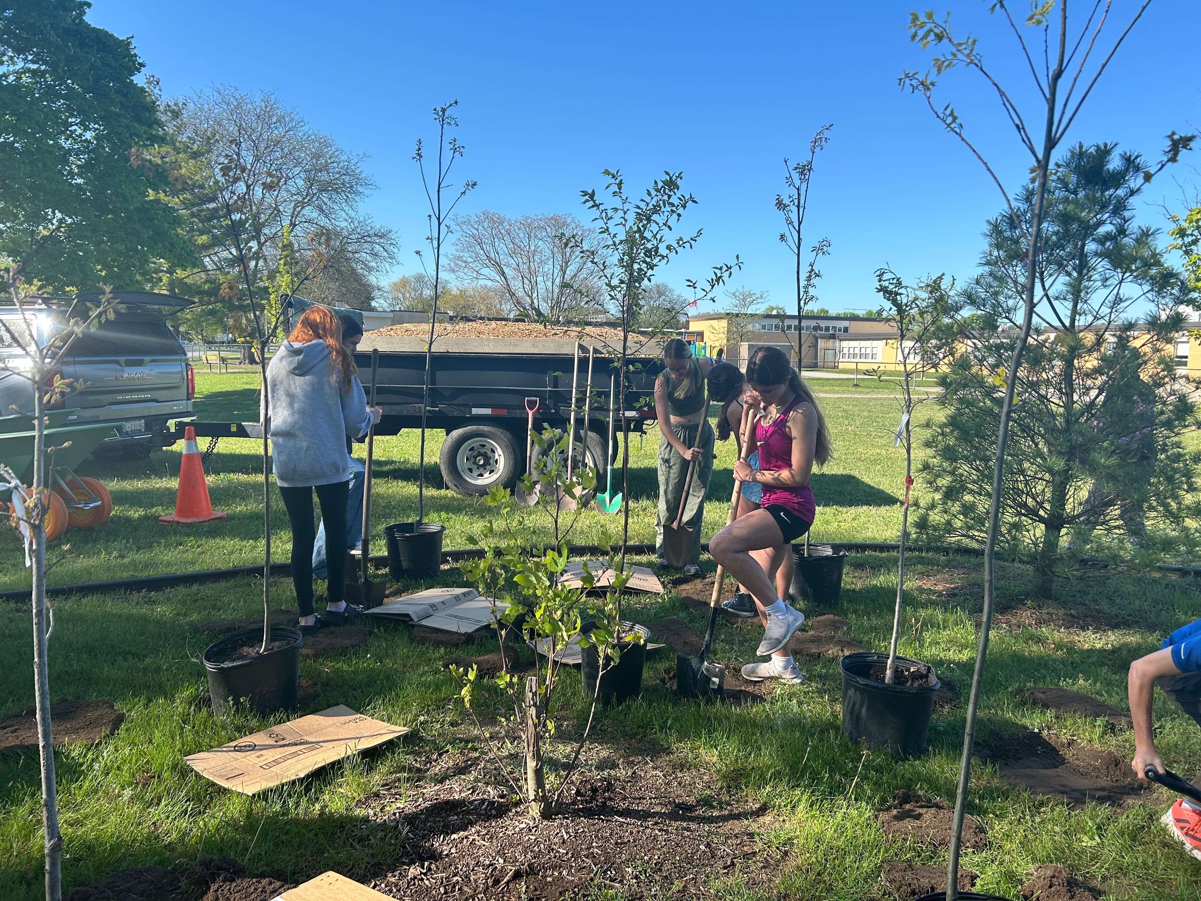 Sarnia schools planting mini forests